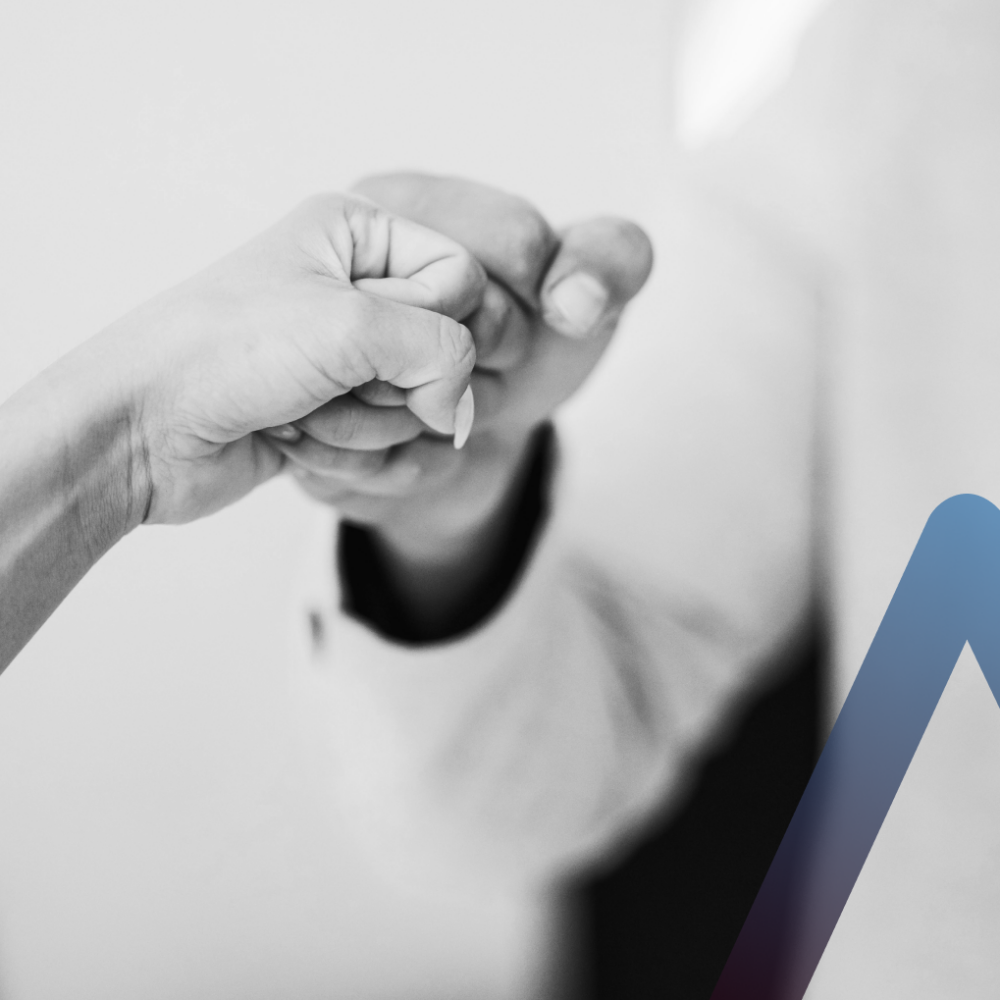 How The Program Works - Access Tech